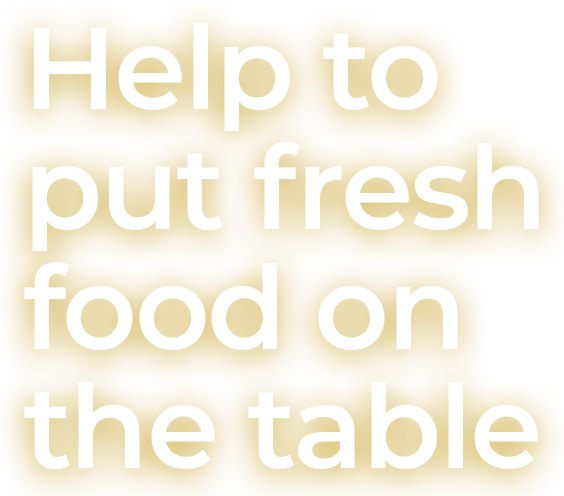 The One Box - Fresh Food Relief - Helping families in need, one box at ...